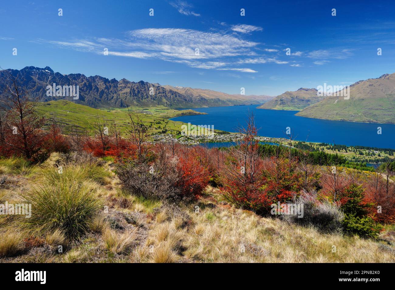 Taken going up and on Queensland Hill in New Zealand on the South ...