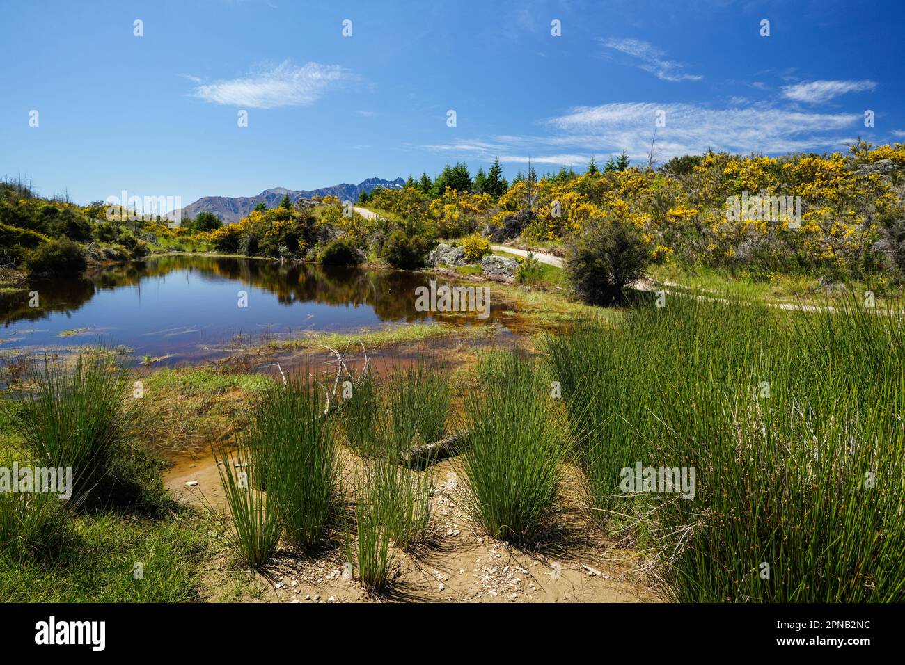 Taken going up and on Queensland Hill in New Zealand on the South ...