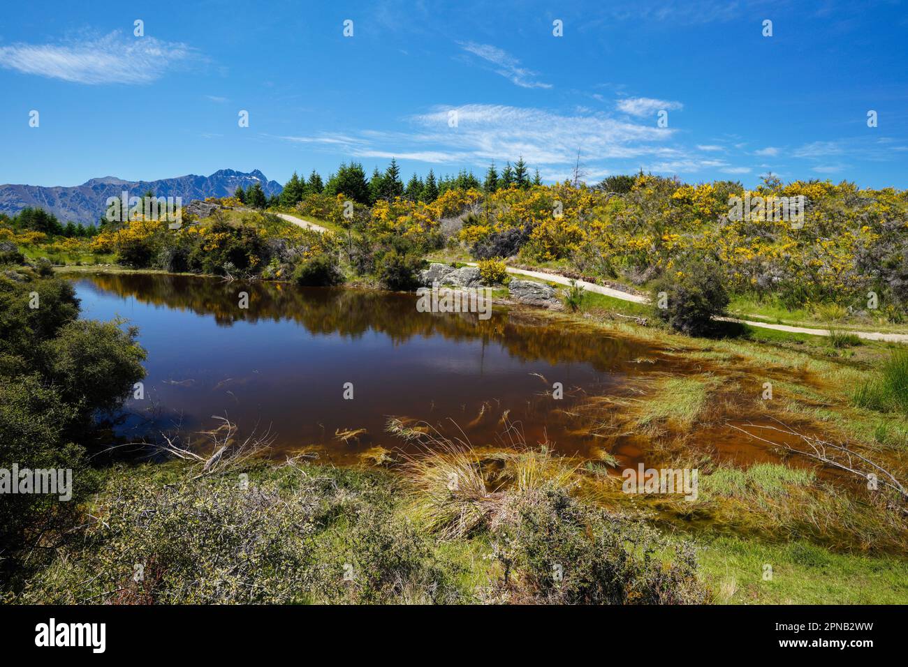 Taken going up and on Queensland Hill in New Zealand on the South ...