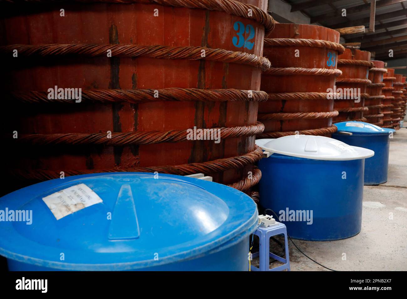 Warehouse with big red wooden barrels for fish sauce, fish sauce ...