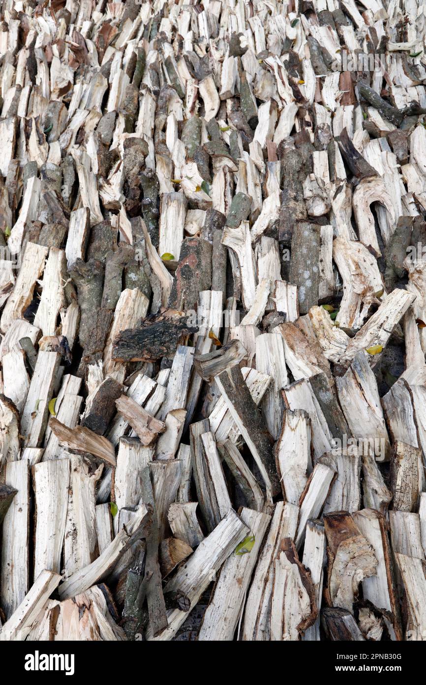 Splitted, dried and stacked firewood, front view. Stack of weathered ...