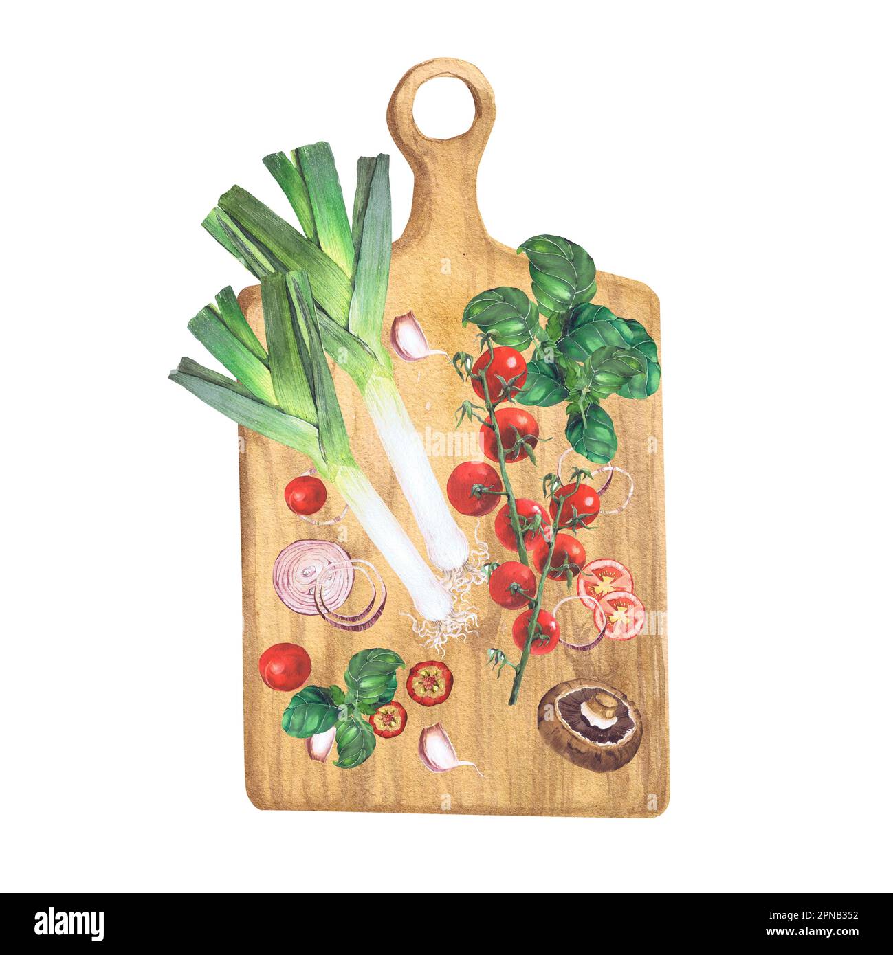 Clip Art Cutting An Onion