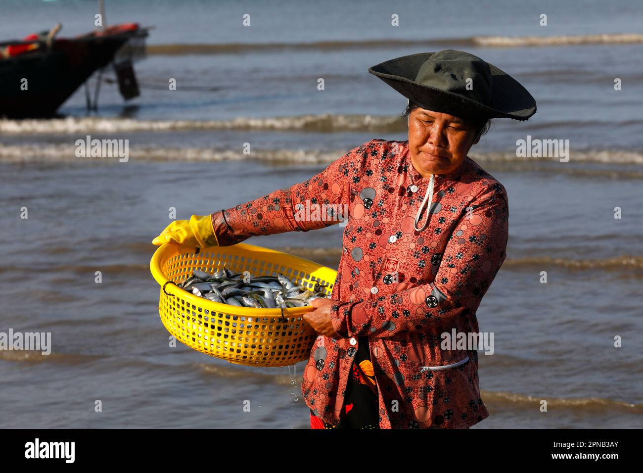 Hang Dua Bay, Fishing boats. Woman sorting fishing catch. Vung Tau ...