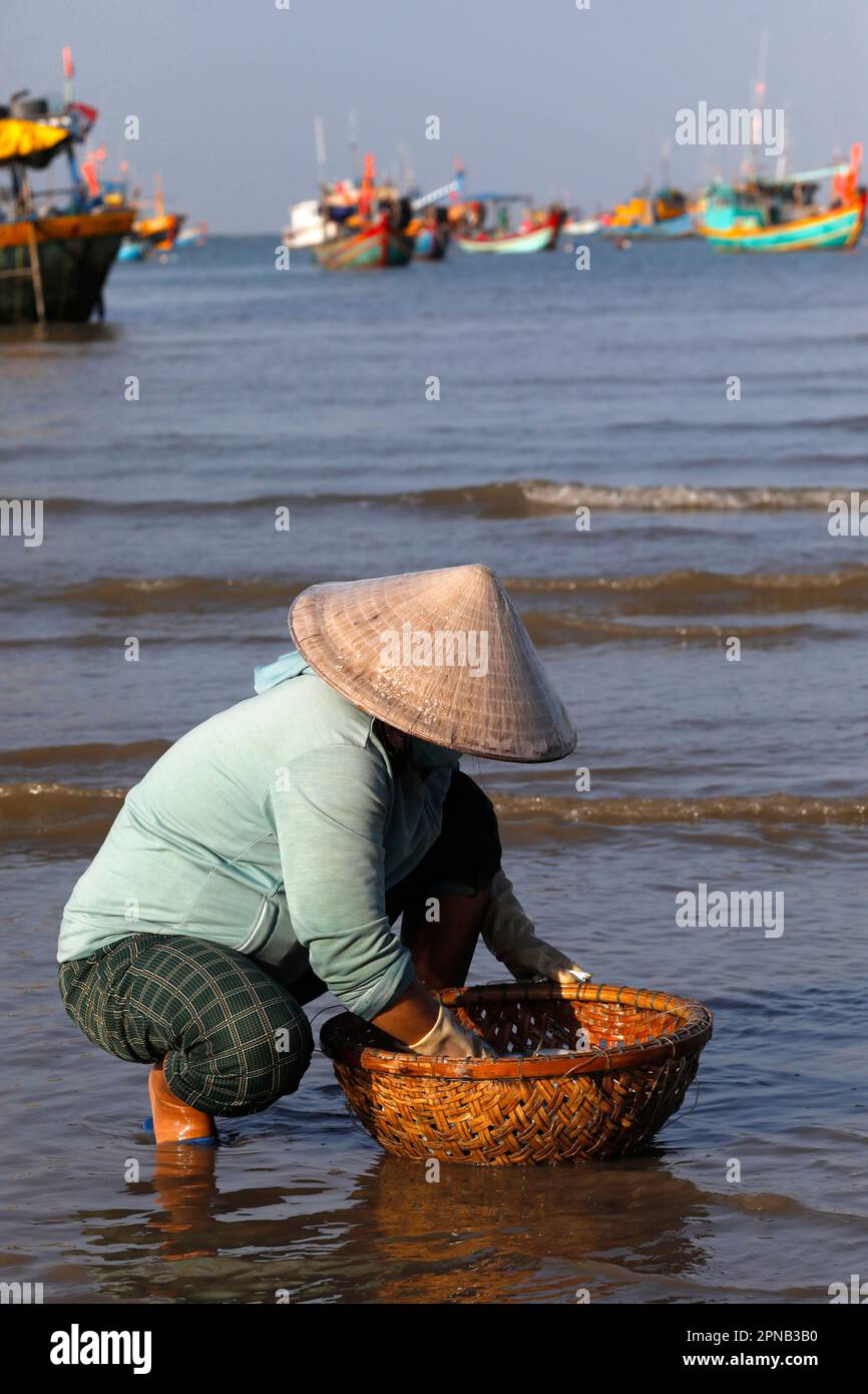 Hang Dua Bay, Fishing boats. Woman sorting fishing catch. Vung Tau ...