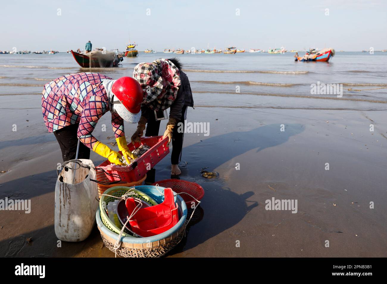 Hang Dua Bay, Fishing boats. Women sorting fishing catch. Vung Tau ...