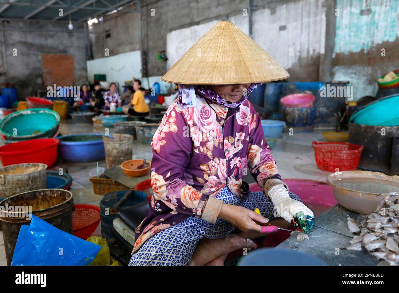 Woman at work in a small fish factory. Preparation of fish fillets ...
