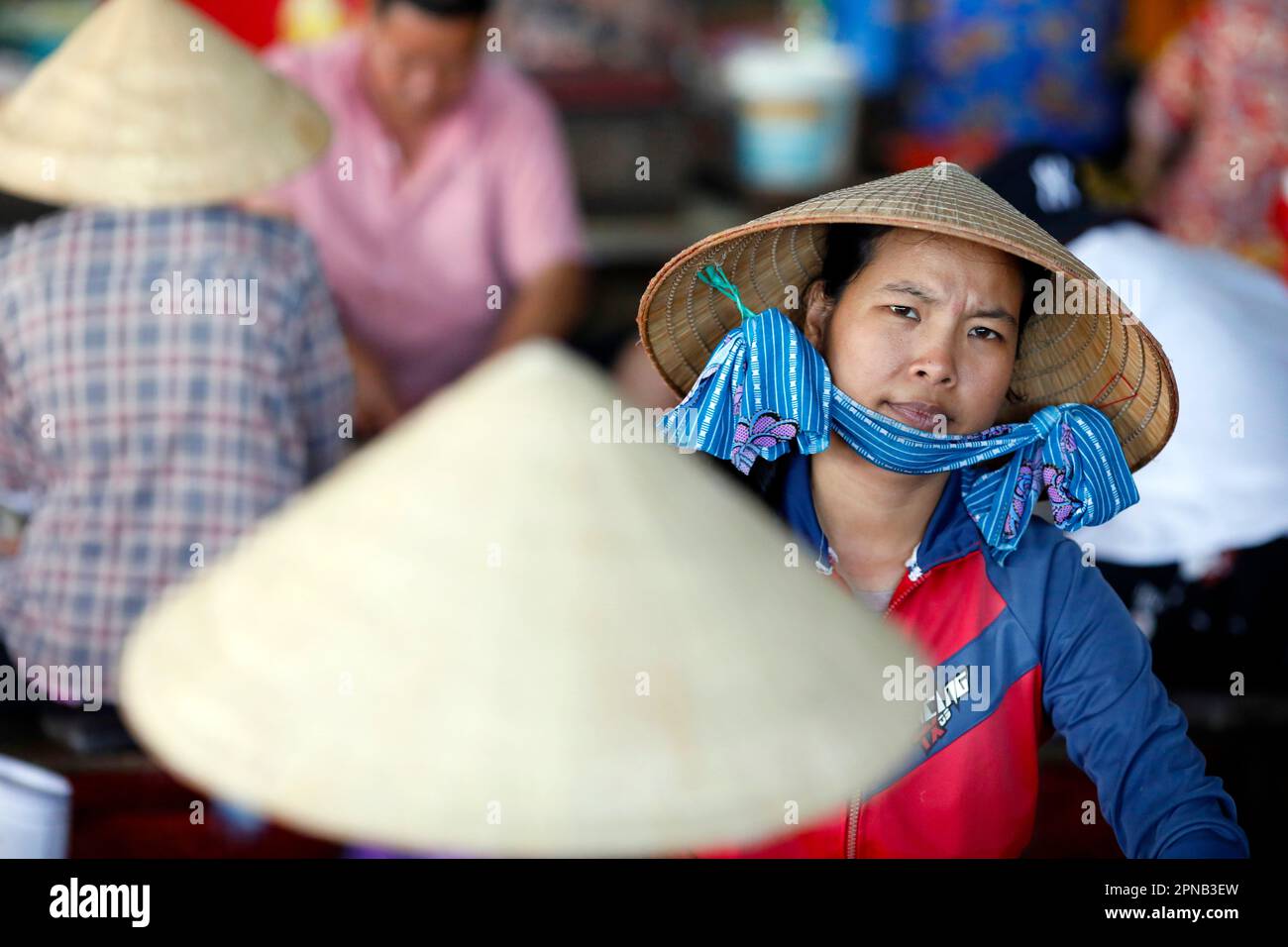 Women wearing the traditional Vietnamese conical hat working in a fish ...
