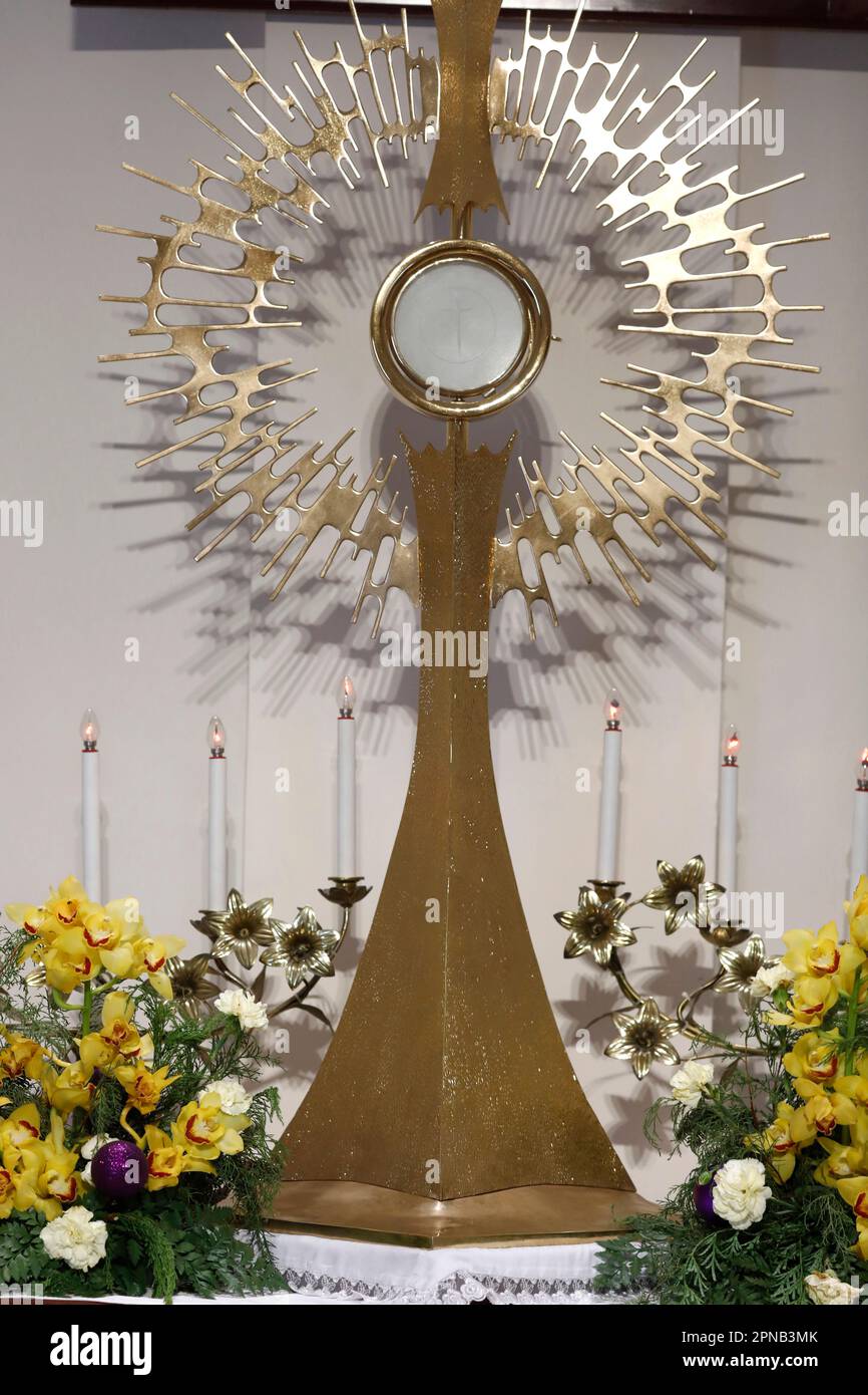 Church of the Sacred Heart of Jesus ( Nha Tho Tan Dinh ). The Holy ...