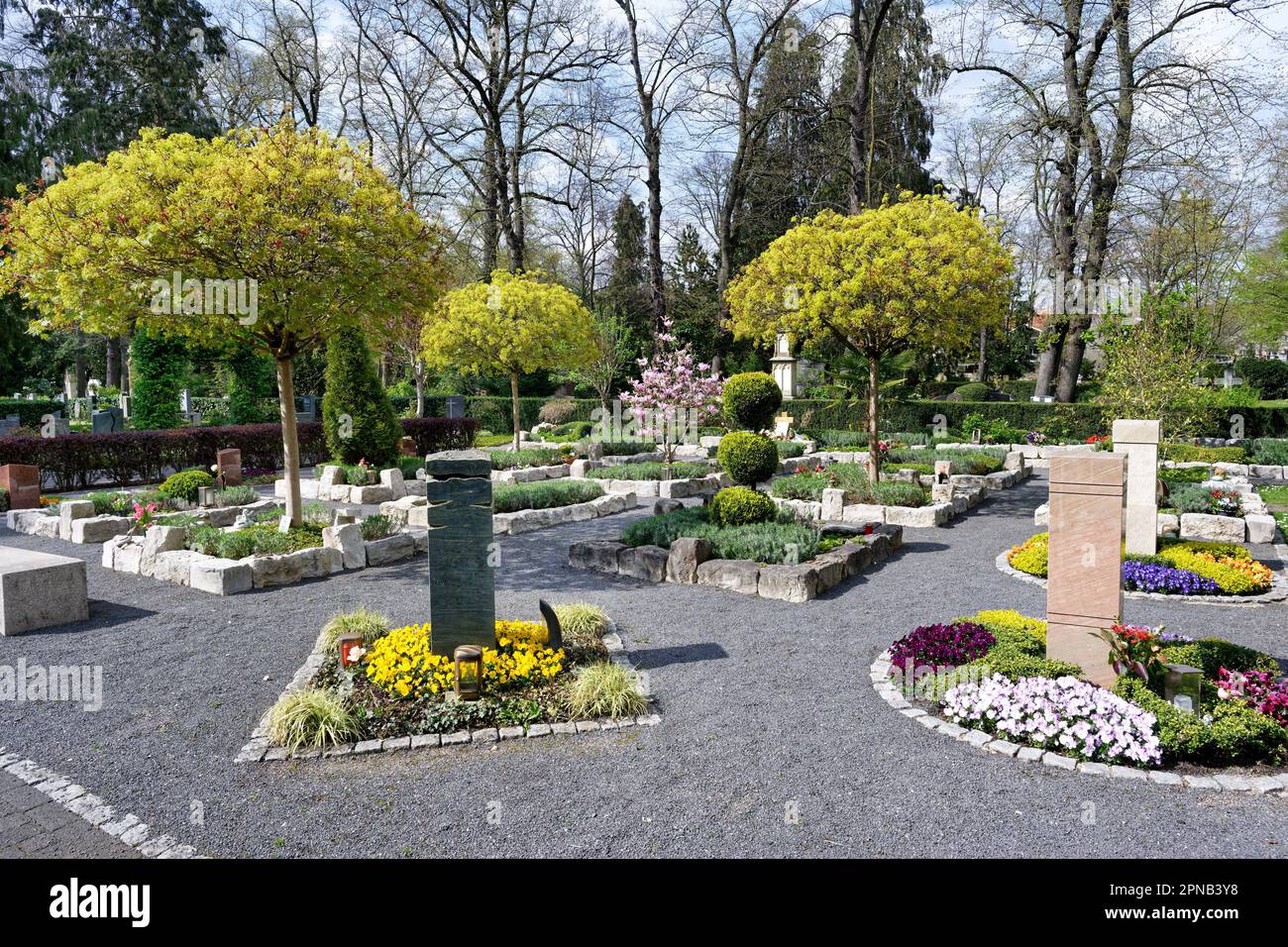 modern bestattungsgarten cemetery with flowering trees and colorful ...