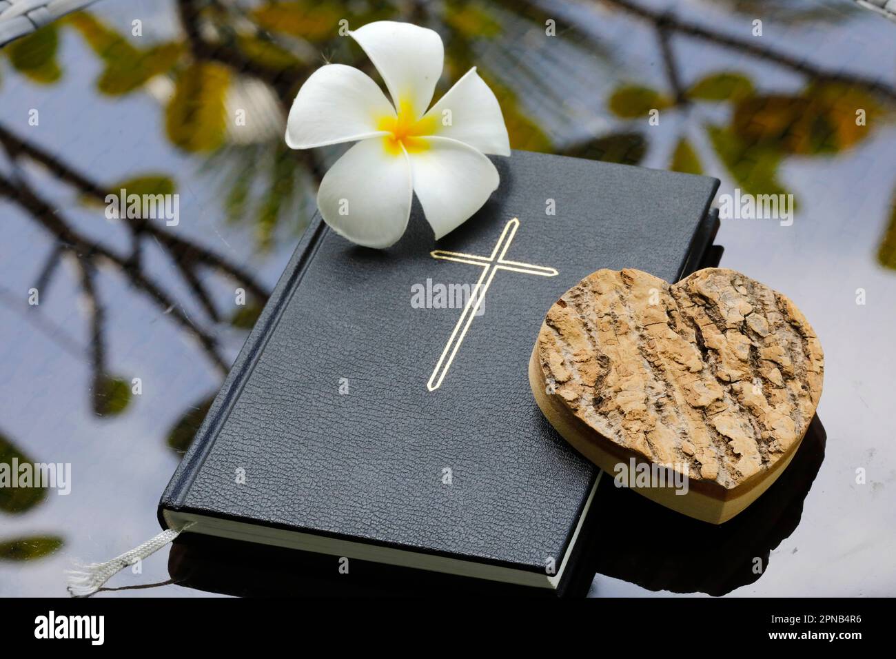 Liturgical flower hi-res stock photography and images - Alamy