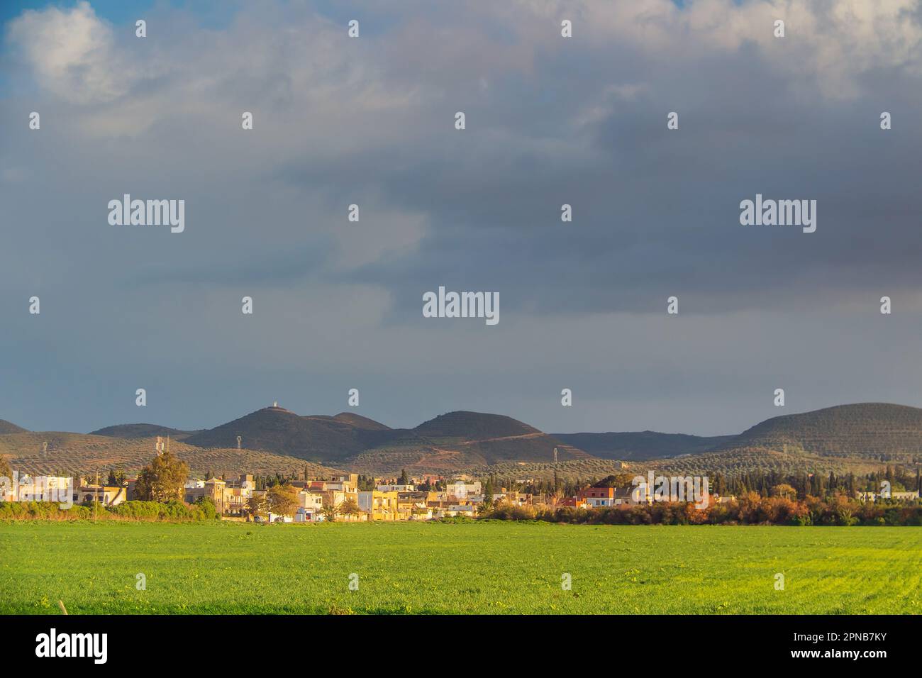 Tunisian flora and fauna hi-res stock photography and images - Alamy