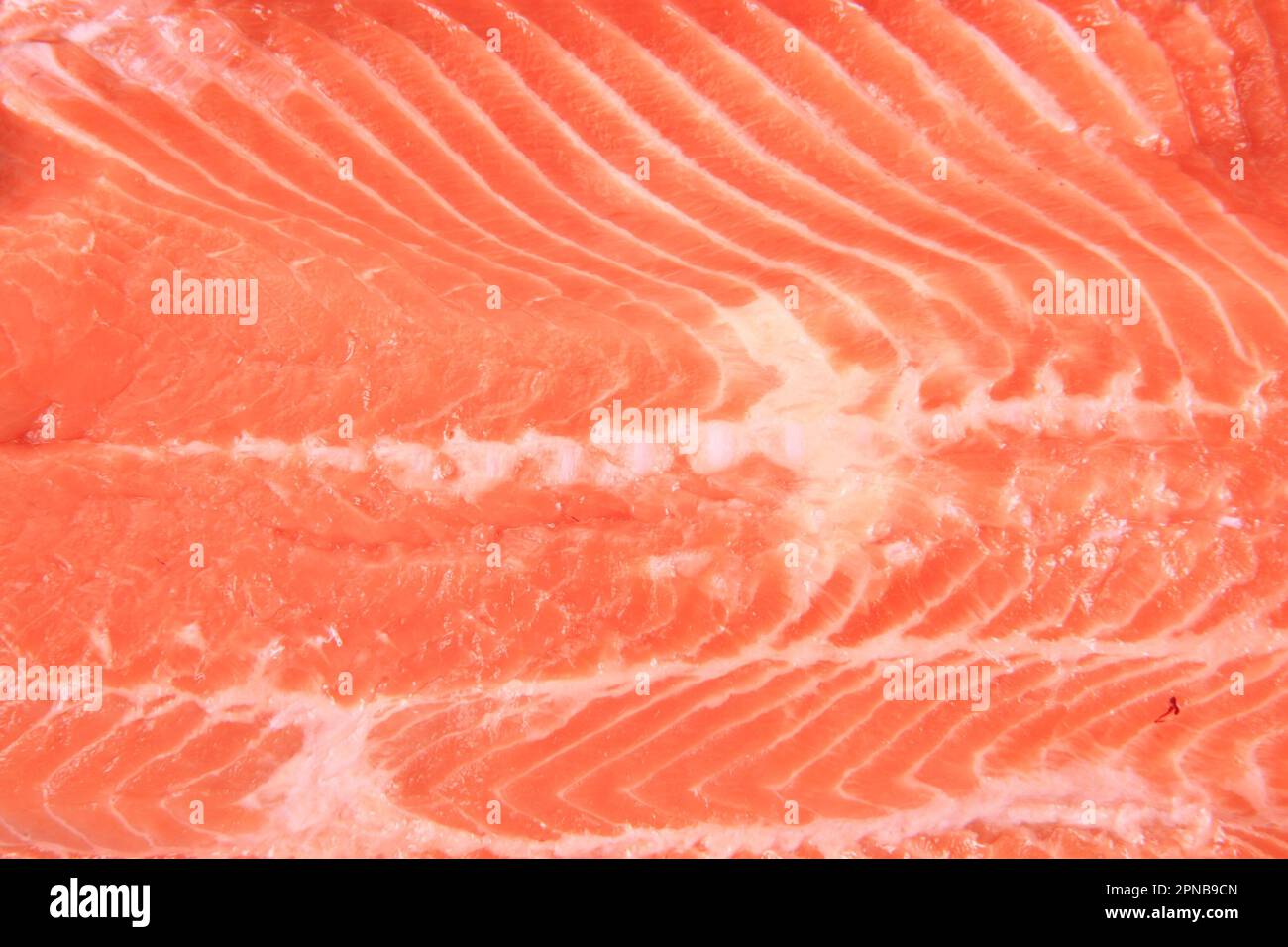 salmon fish meat texture as gourmet background Stock Photo - Alamy