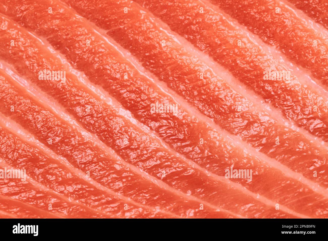 salmon fish meat texture as gourmet background Stock Photo - Alamy