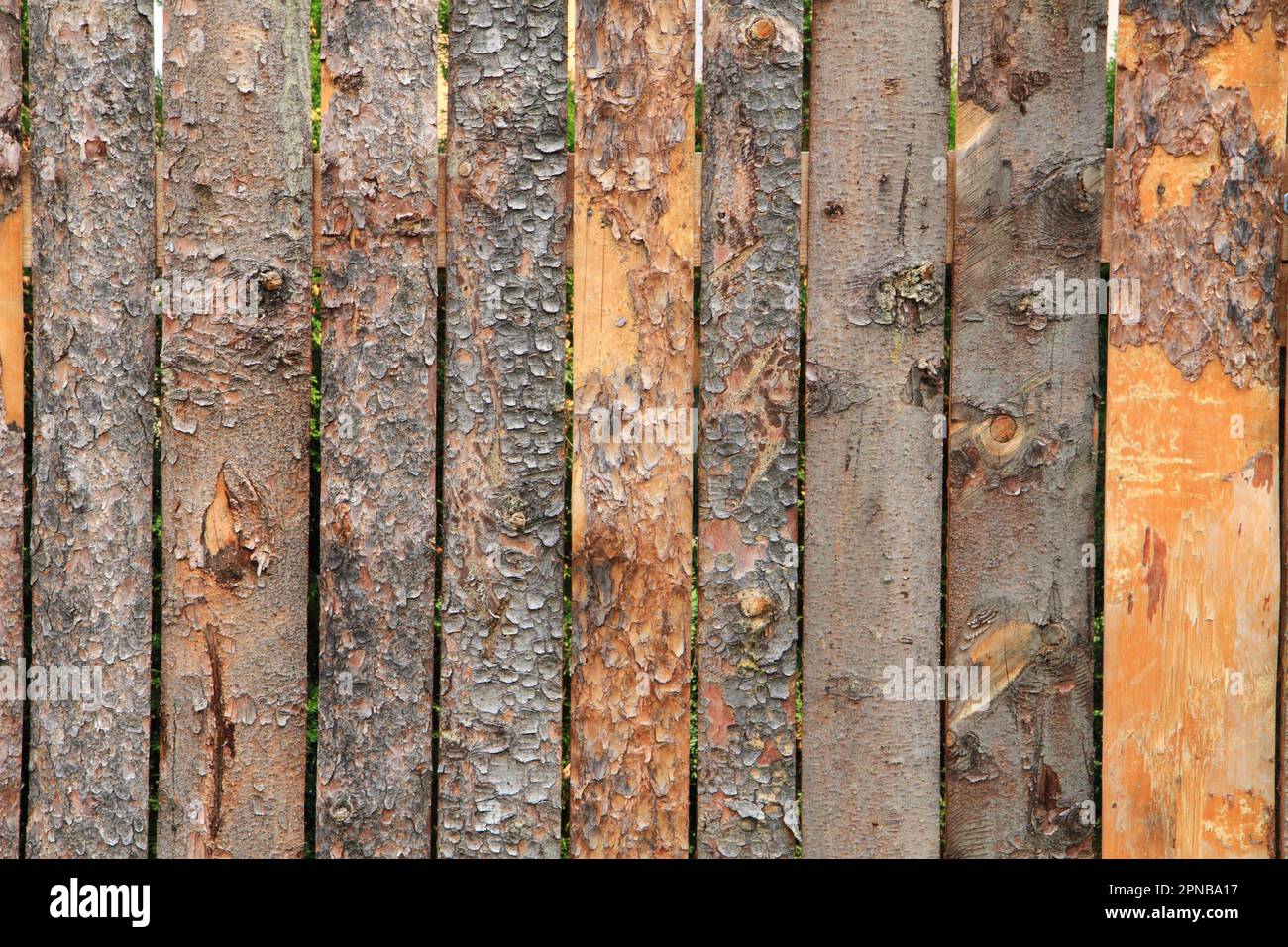 bark wood texture as nice natural background Stock Photo - Alamy