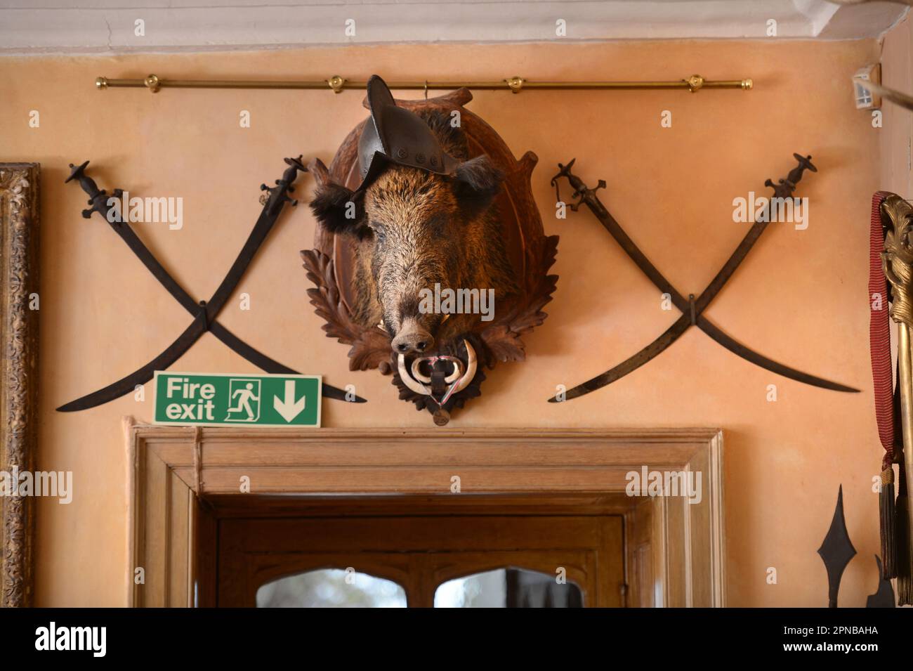 A Boar's head at Maunsel House near Bridgwater, Somerset Stock Photo ...