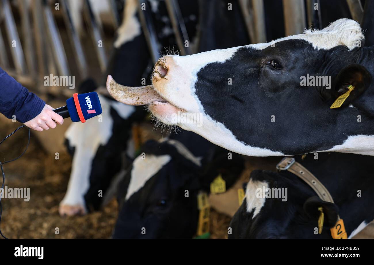 Leverkusen, Germany. 18th Apr, 2023. A radio reporter tries to capture ...
