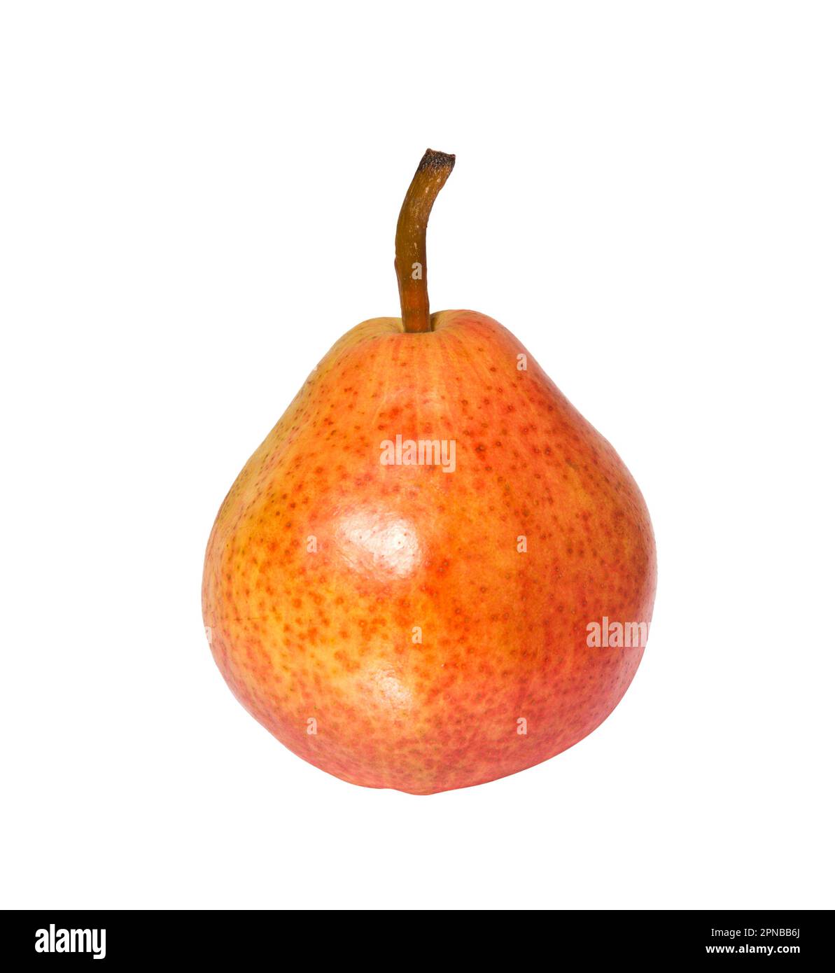 Pear red. Pear fruit isolated on white background Stock Photo - Alamy