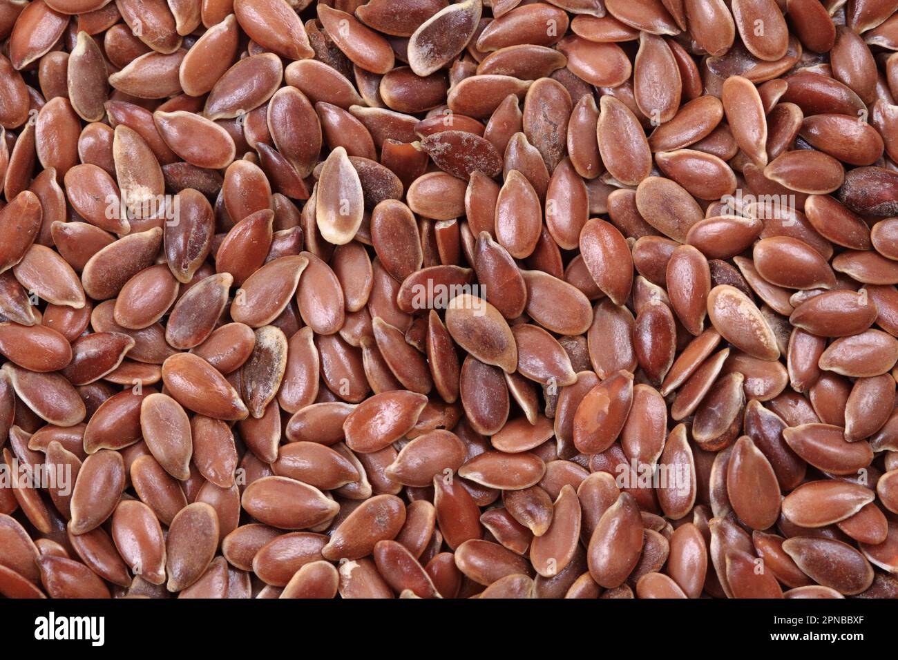 Seed texture hi-res stock photography and images - Alamy