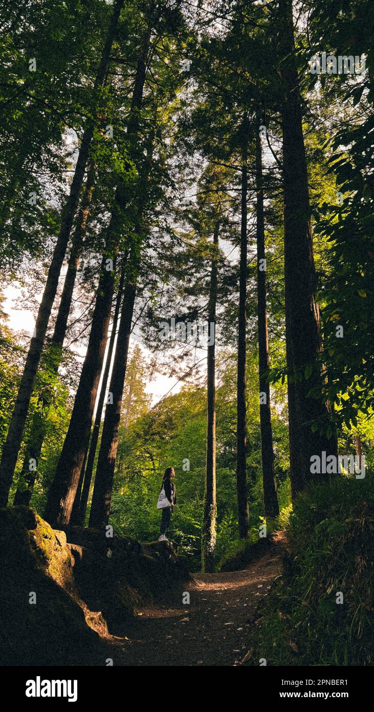 Ireland throughout the years Stock Photo - Alamy