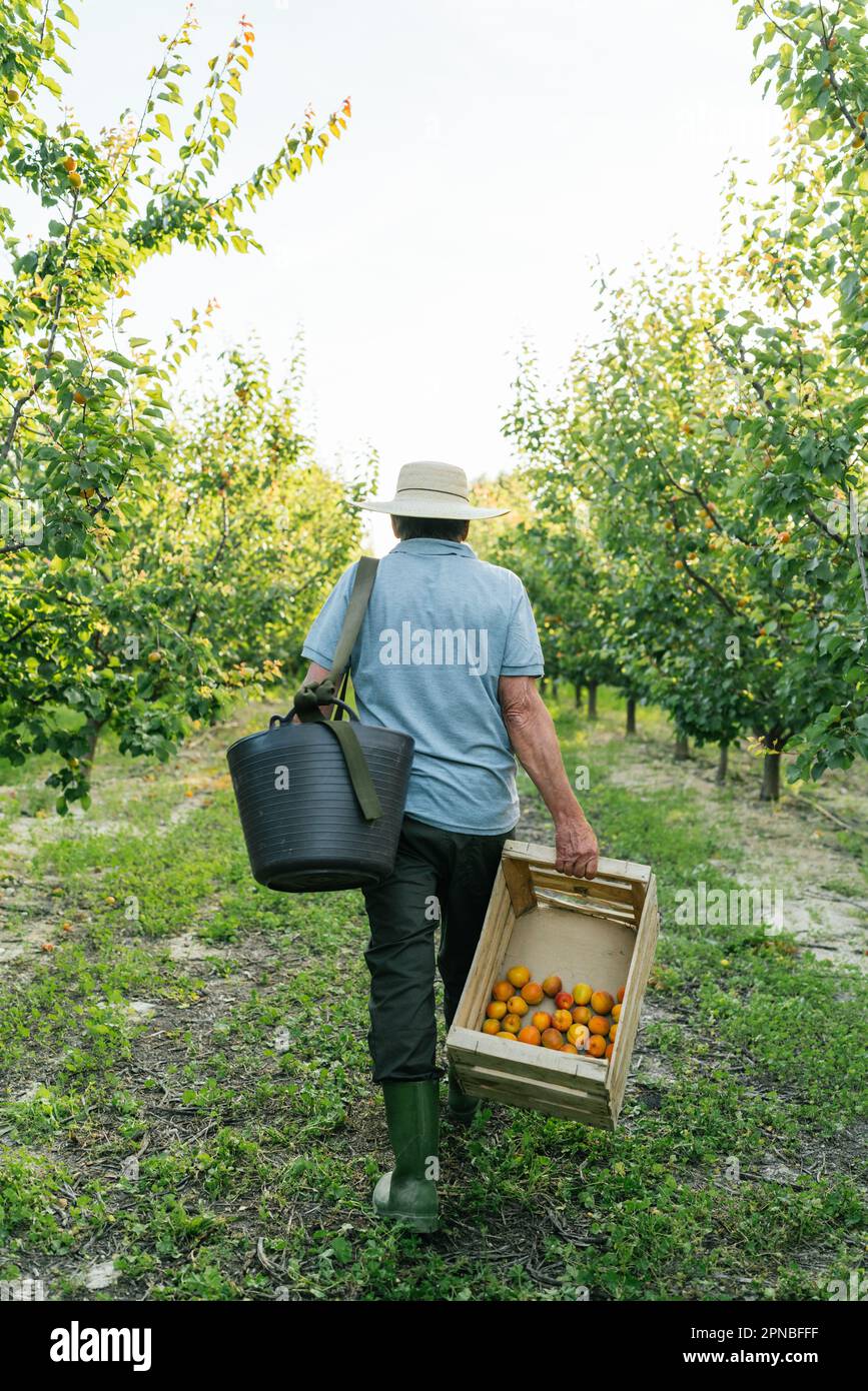 Back view full body of anonymous male gardener in hat and rubber boots ...