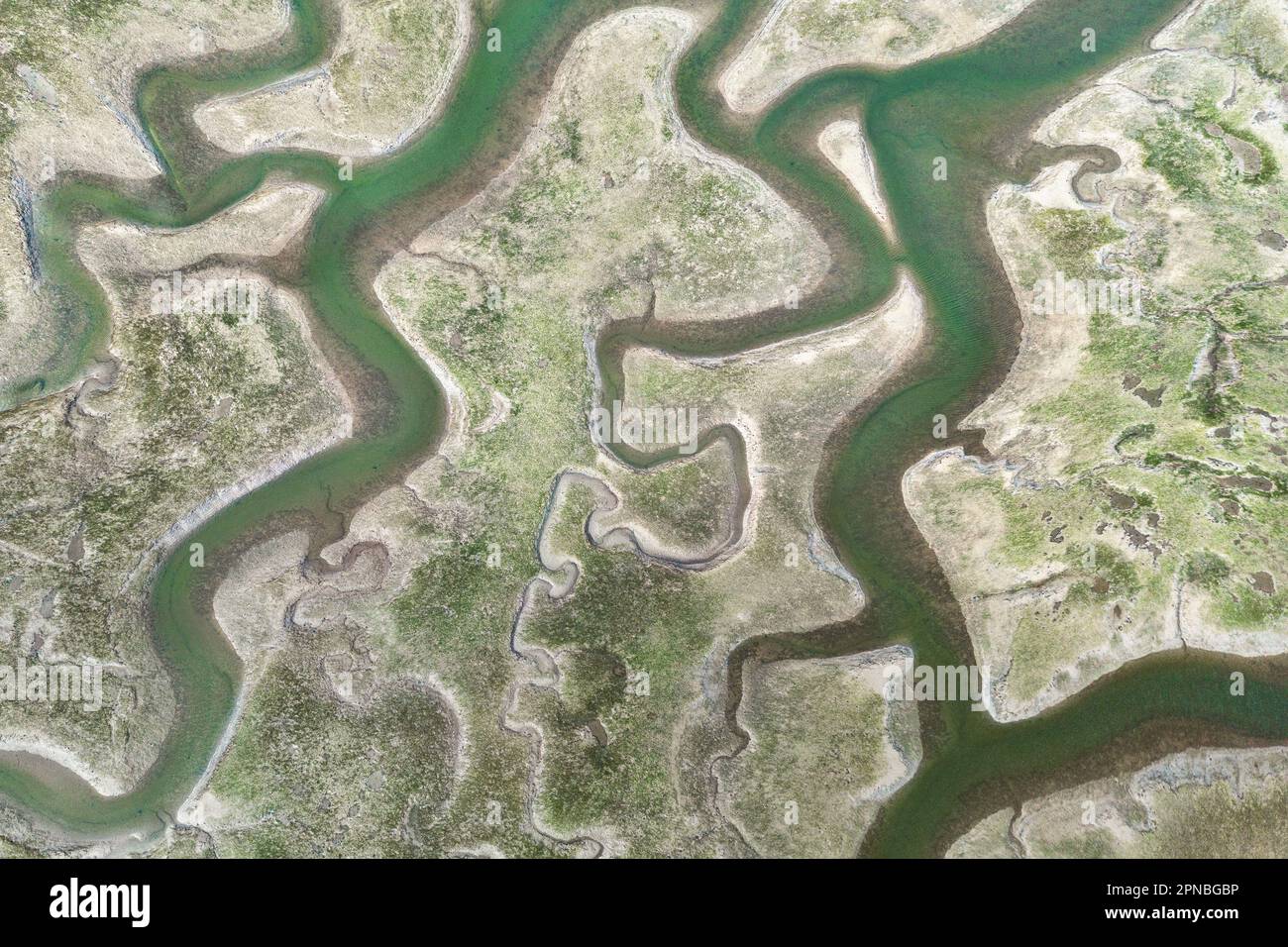 From above drone view of green lush with river estuary on wetlands ...