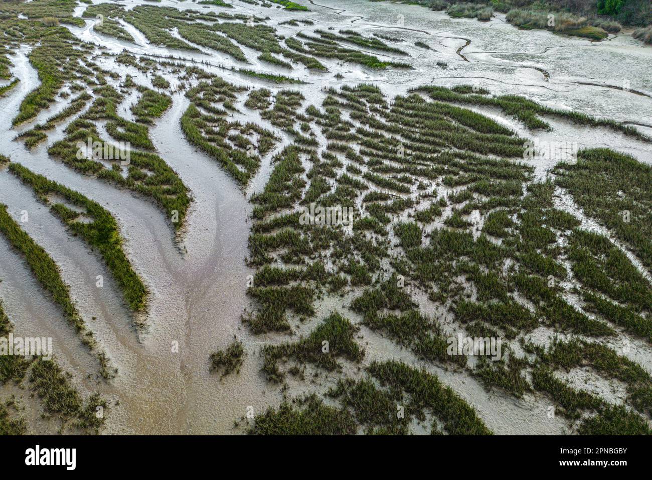 From above drone view of green lush with river estuary on wetlands ...