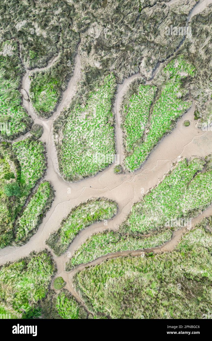 From above drone view of green lush with river estuary on wetlands ...