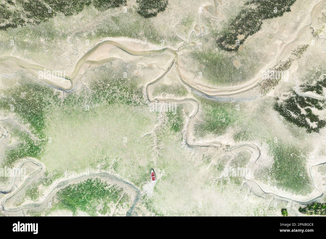 From above drone view of green lush with river estuary on wetlands ...