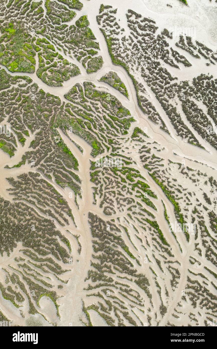 From above drone view of green lush with river estuary on wetlands ...