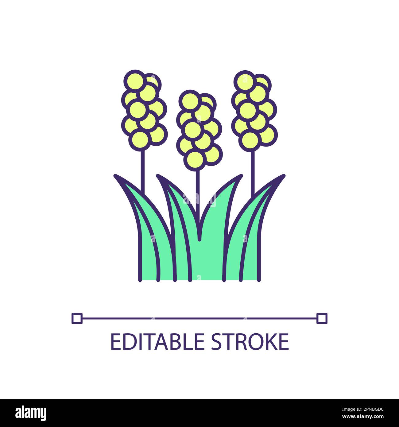 Sorghum symbol hi-res stock photography and images - Alamy