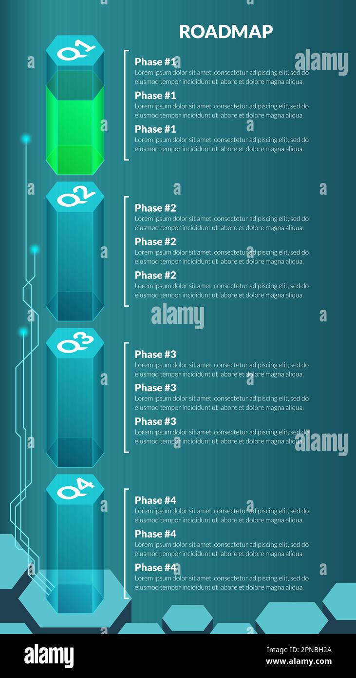 Project Roadmap Infographic
