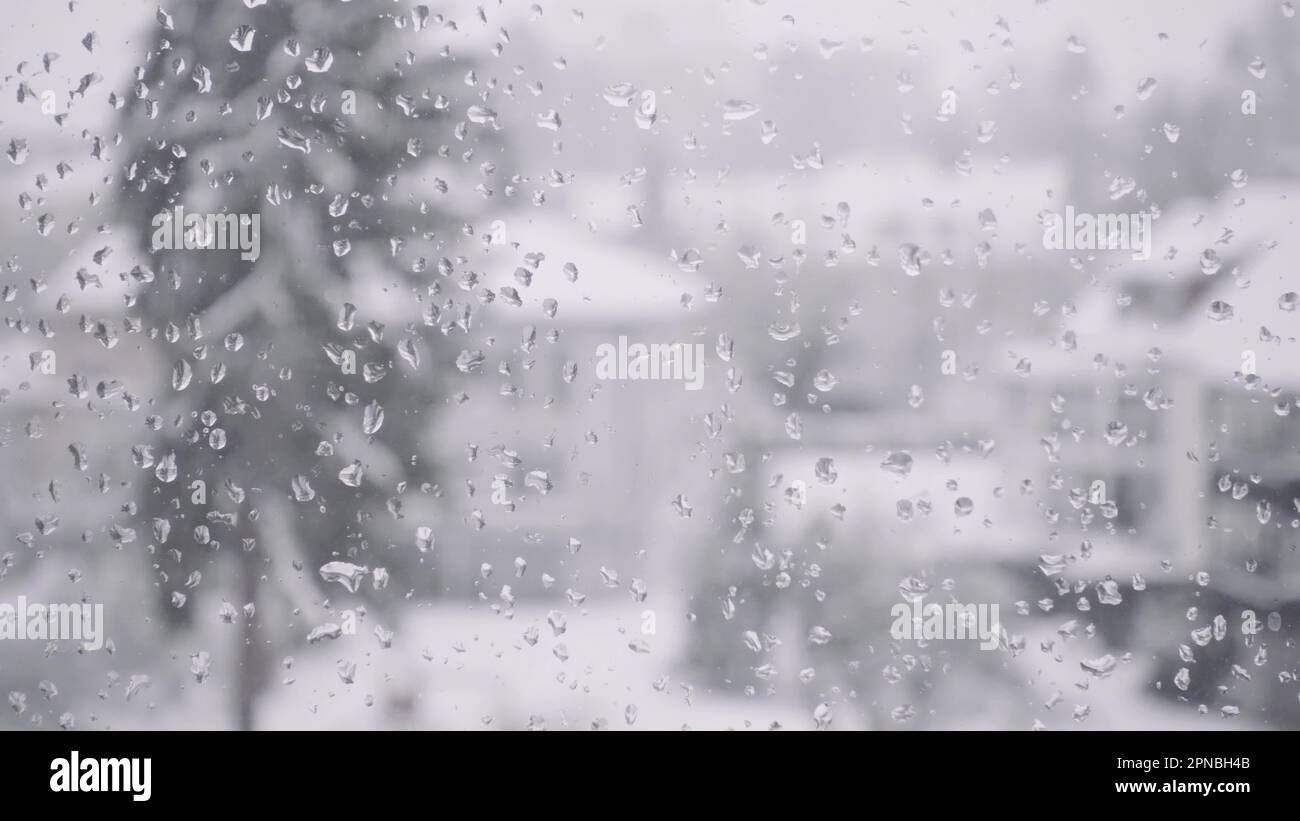 Black and white backdrop with blurred snowy cityscape through ...