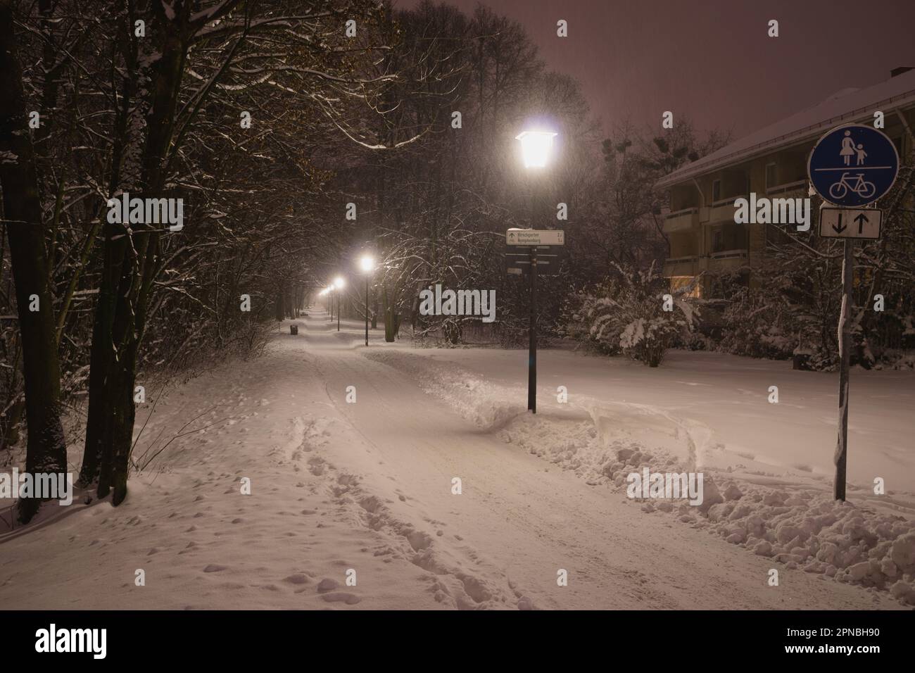 Bright street lights illuminating street near narrow path in calm ...