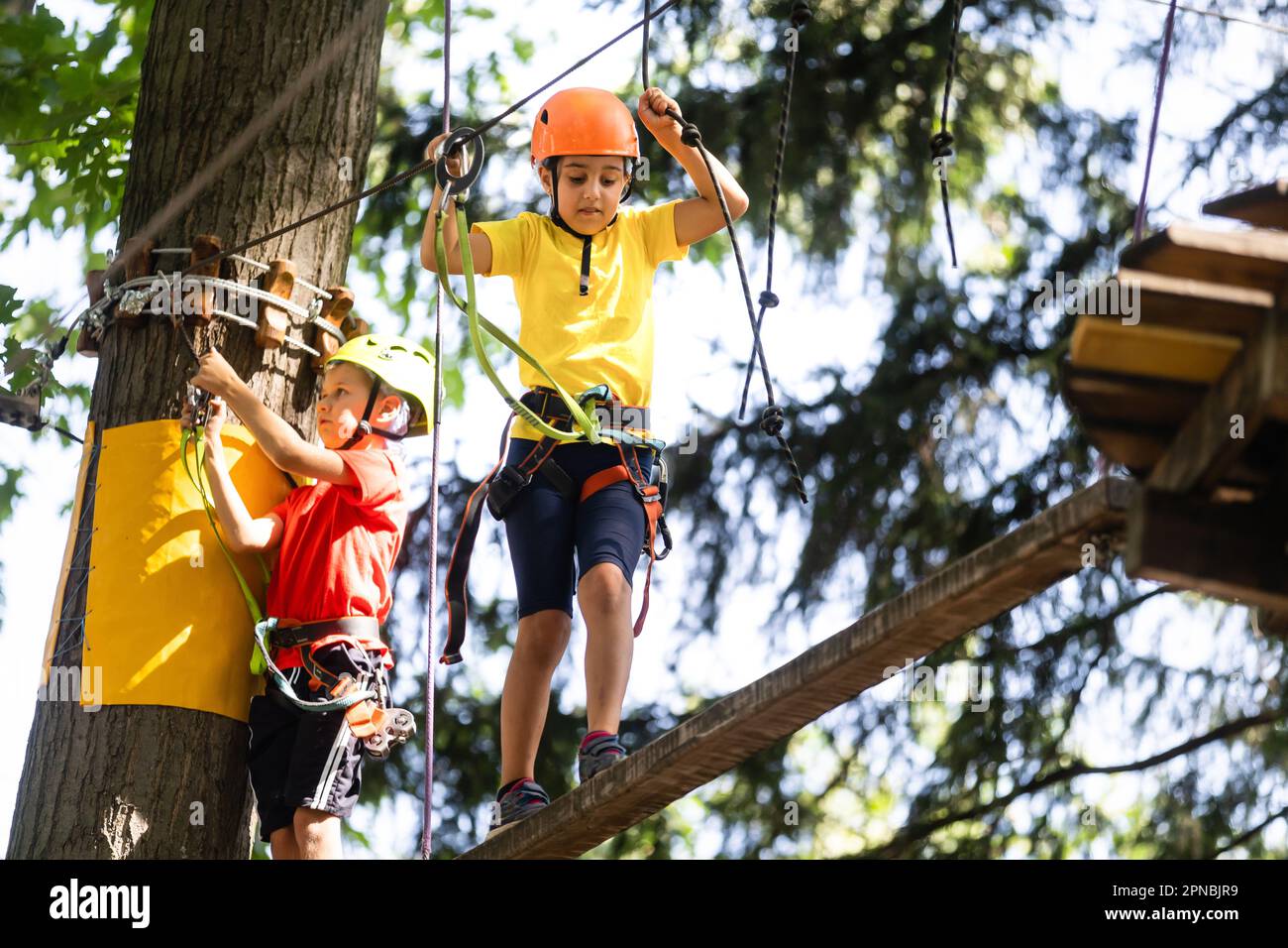 Child in forest adventure park. Kids climb on high rope trail. Agility ...
