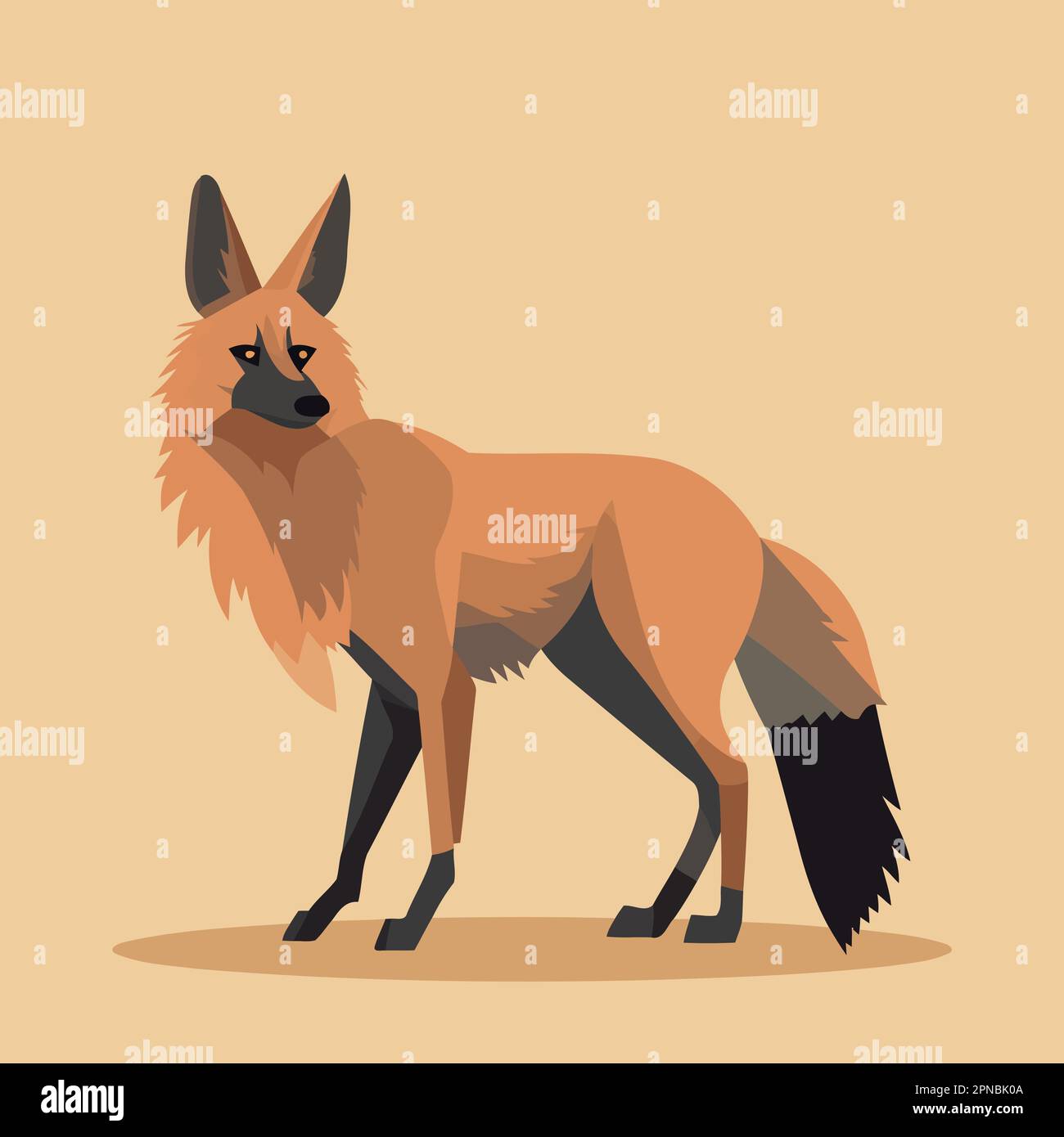 brazilian animal maned wolf minimalistic vector illustration Stock ...