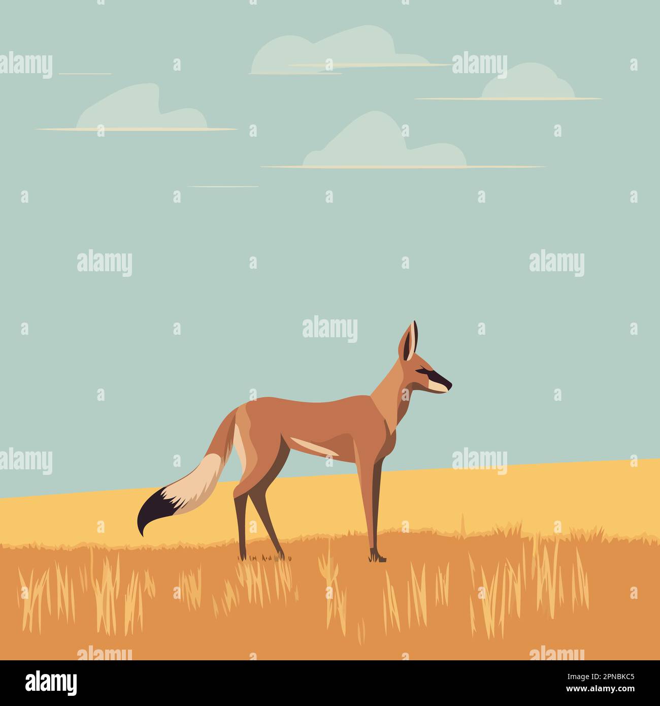 brazilian animal maned wolf minimalistic vector illustration Stock ...
