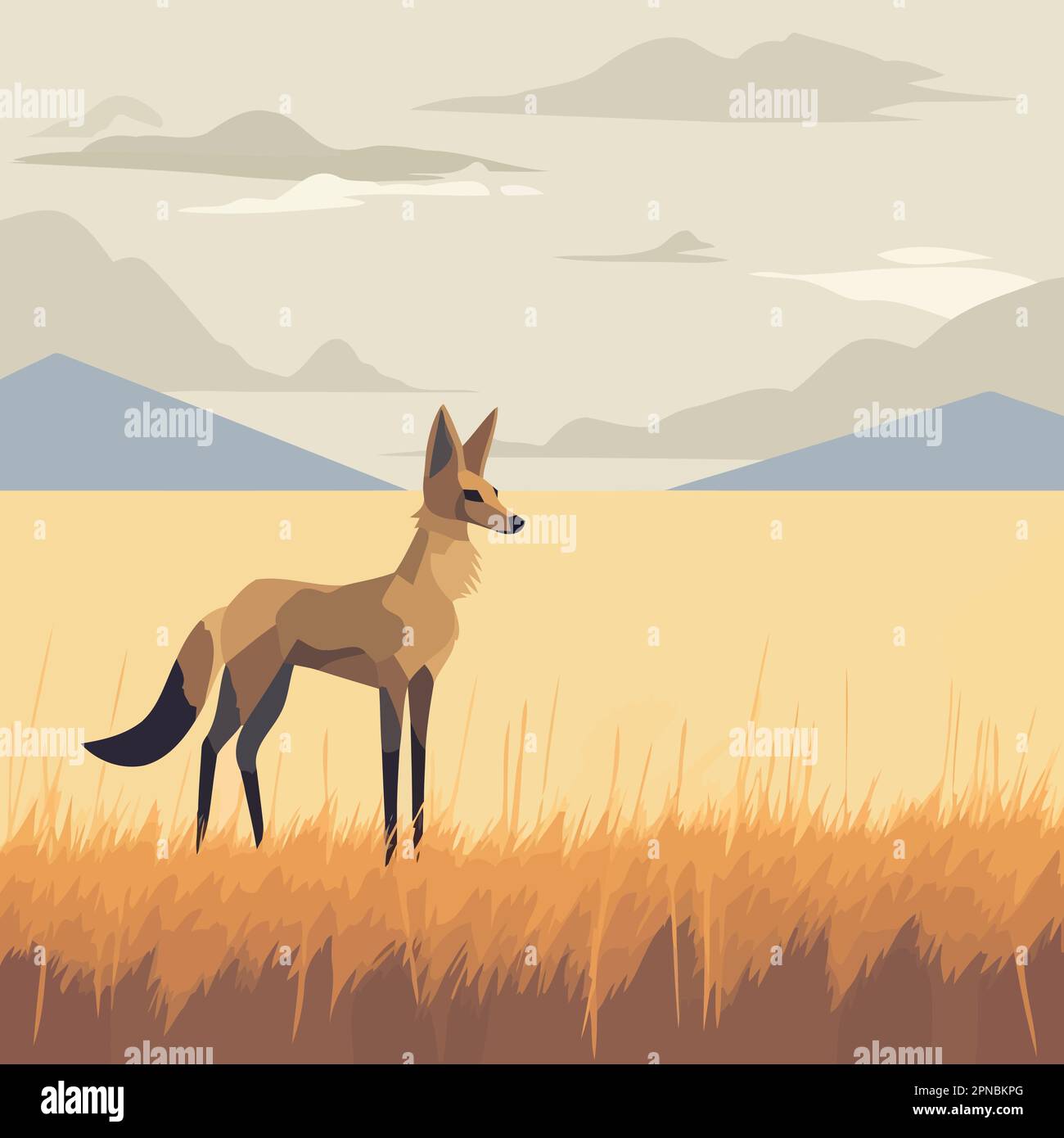 brazilian animal maned wolf minimalistic vector illustration Stock ...
