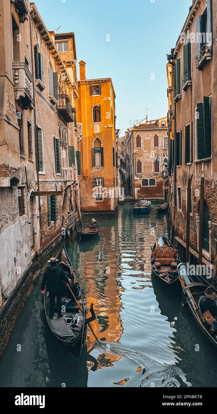 Venice in a few days during February 2023 Stock Photo - Alamy