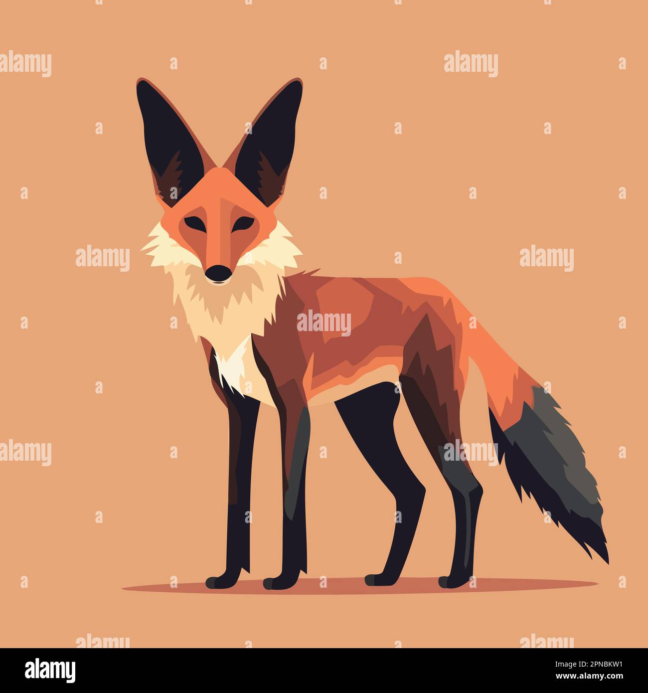 brazilian animal maned wolf minimalistic vector illustration Stock ...