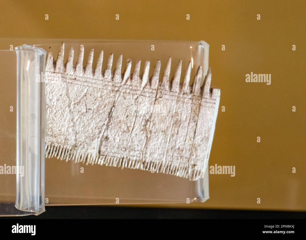 Phoenician and Carthaginian Artifacts at the Utica Punic and Roman ...