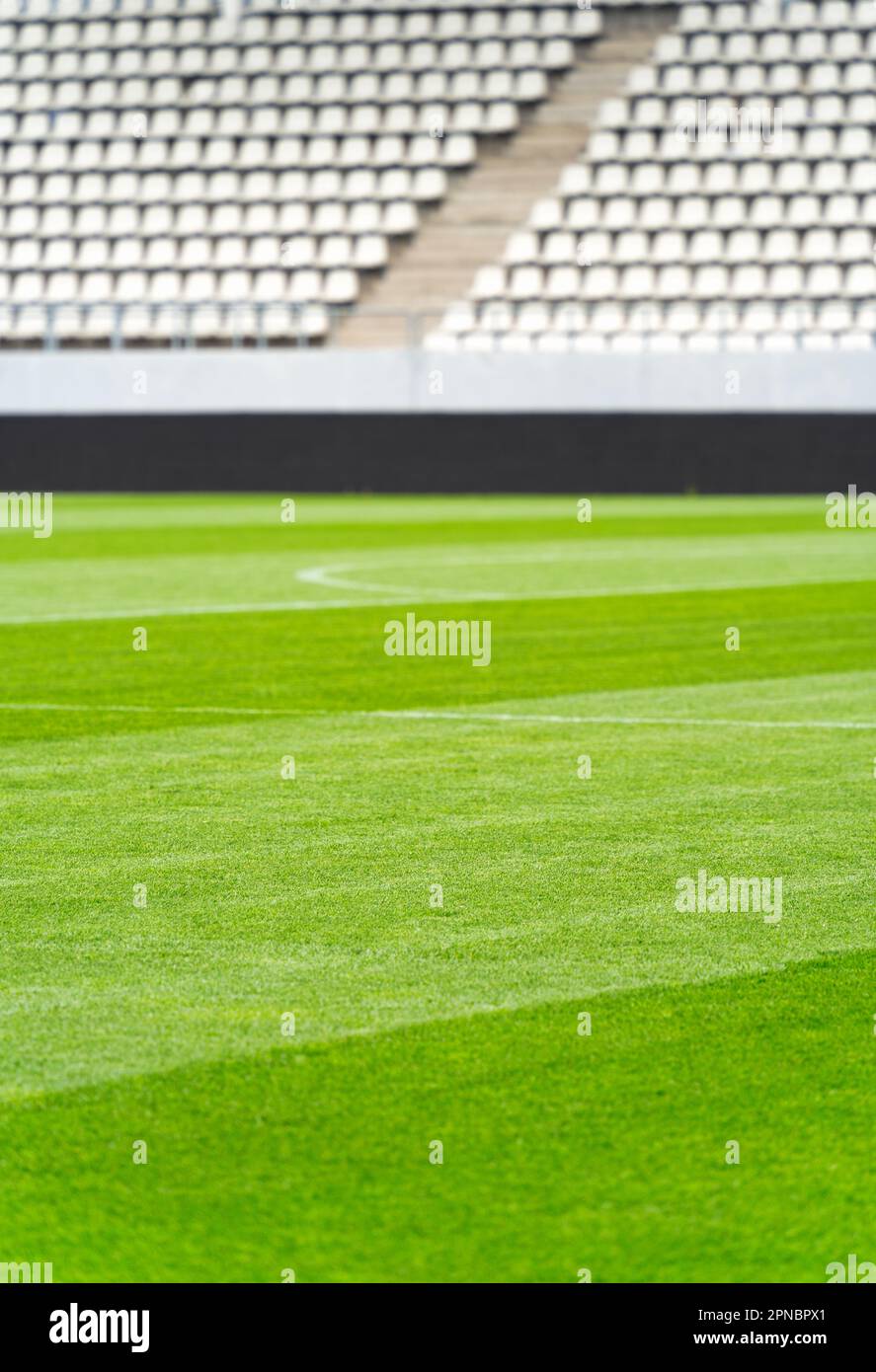 Empty stadium with white chairs in tribune and the green lawn grass ...