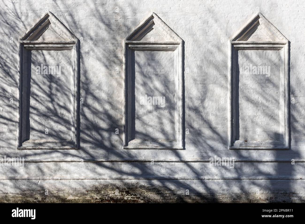 the shadow of the tree on the wall of the house with windows. house ...