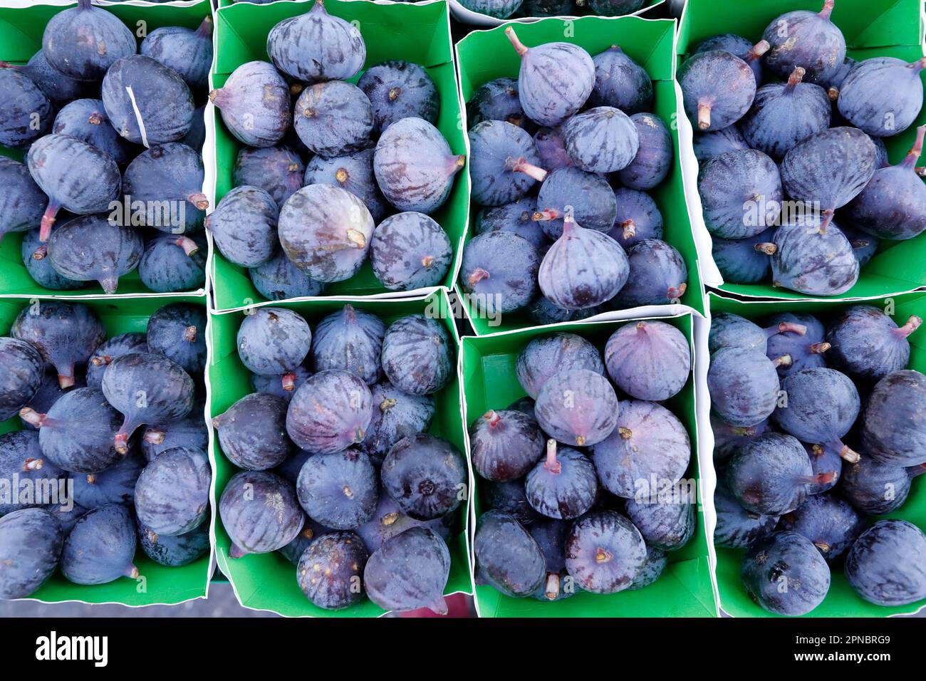 Display of freshly harvested figs at the farmers market. France Stock ...