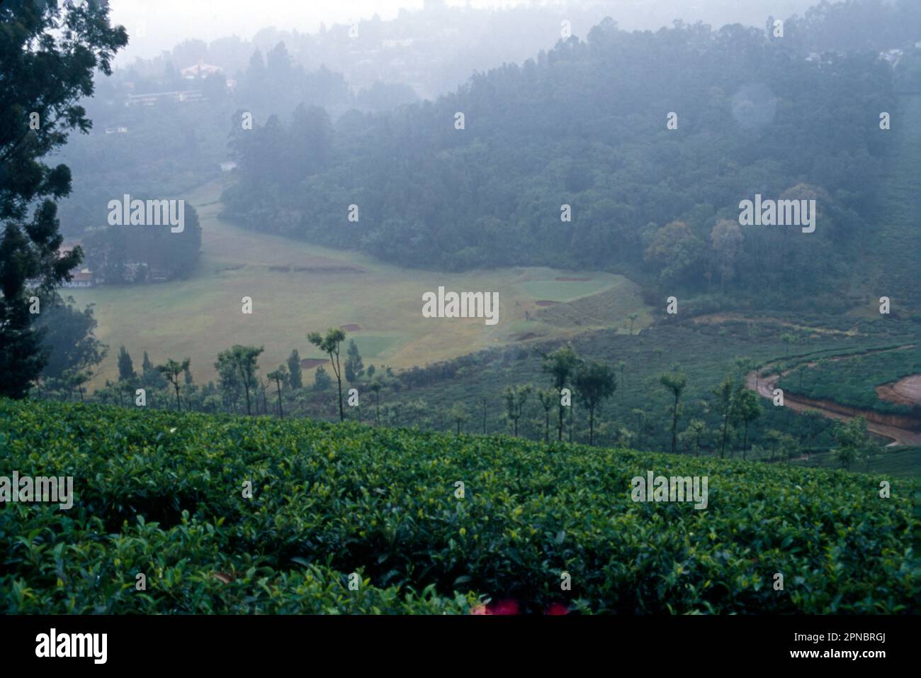 Coonoor is a hill station in the southern Indian state of Tamil Nadu ...