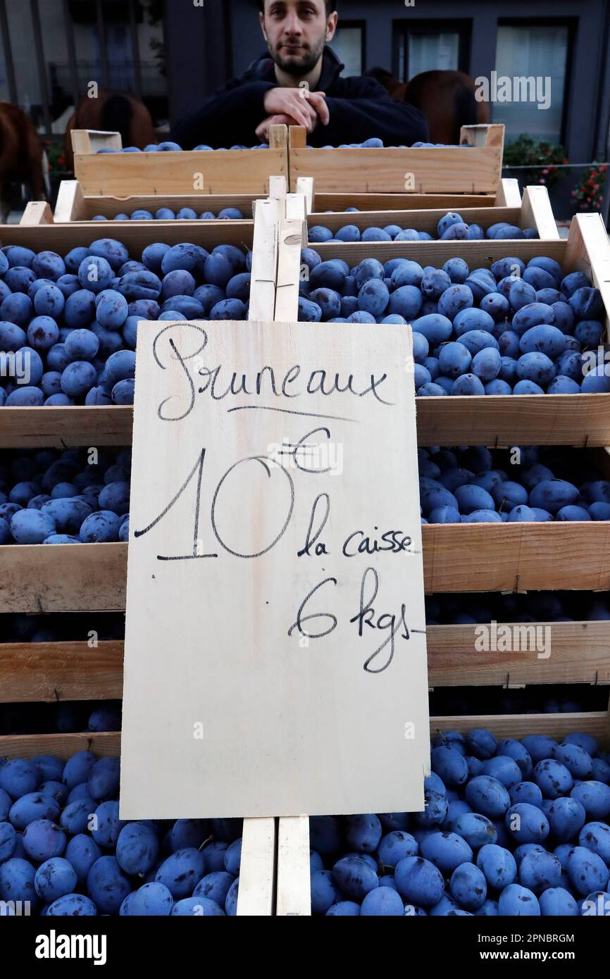 Display of freshly harvested prunes at the farmers market. France Stock ...