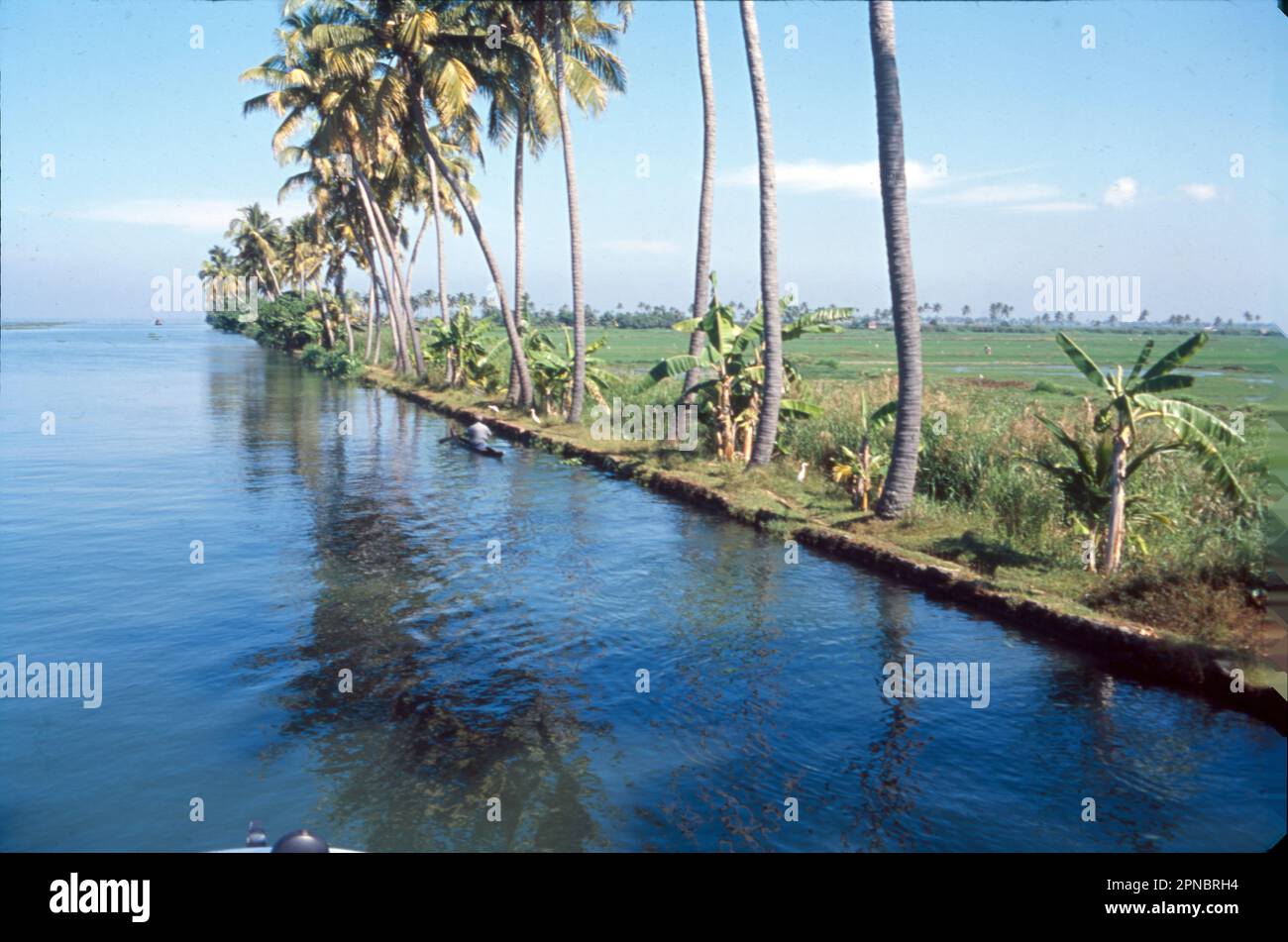 The scenic backwaters of Kerala comprise a serene stretch of lakes ...