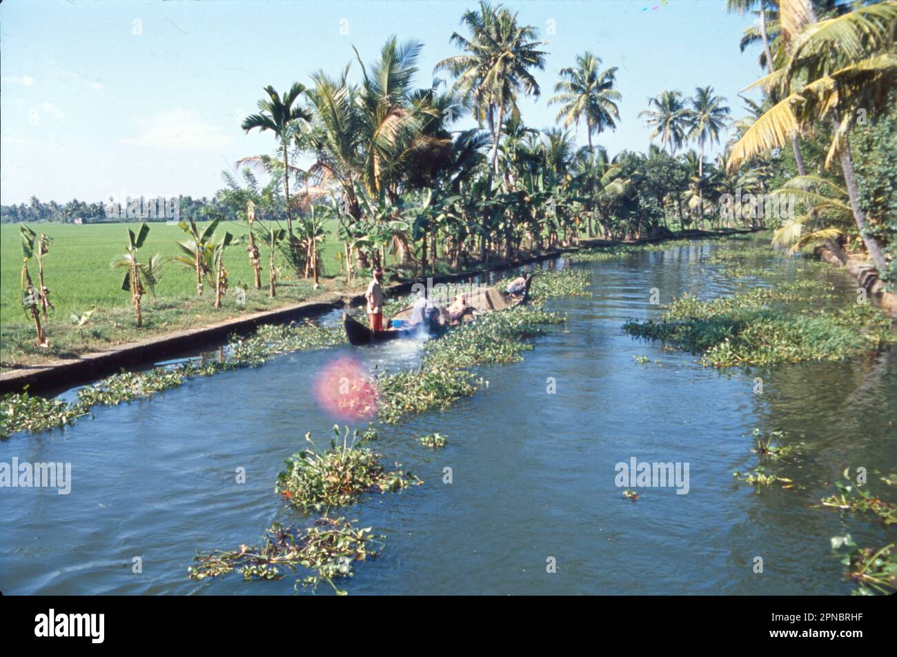 The scenic backwaters of Kerala comprise a serene stretch of lakes ...