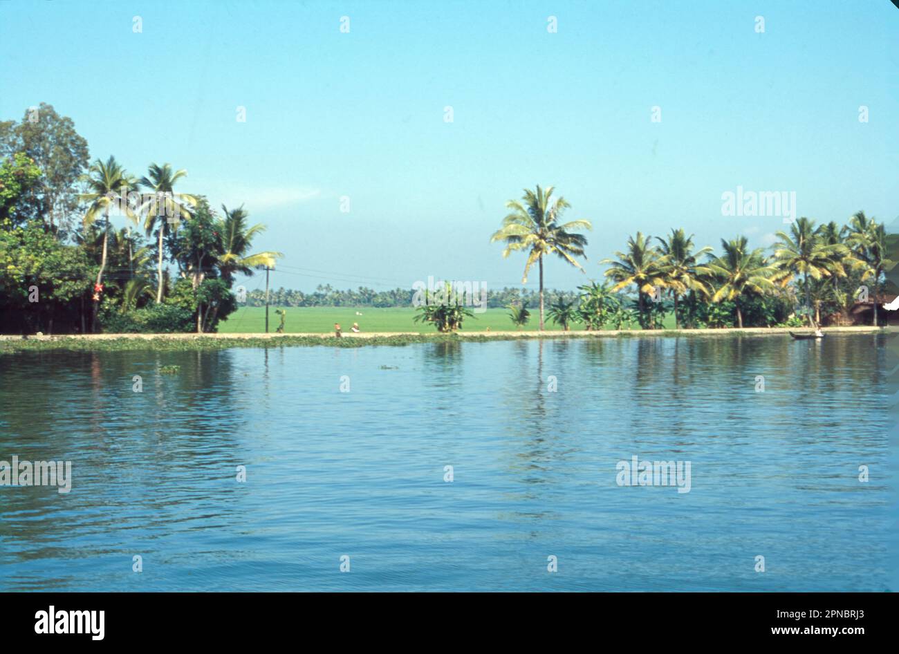 The scenic backwaters of Kerala comprise a serene stretch of lakes ...