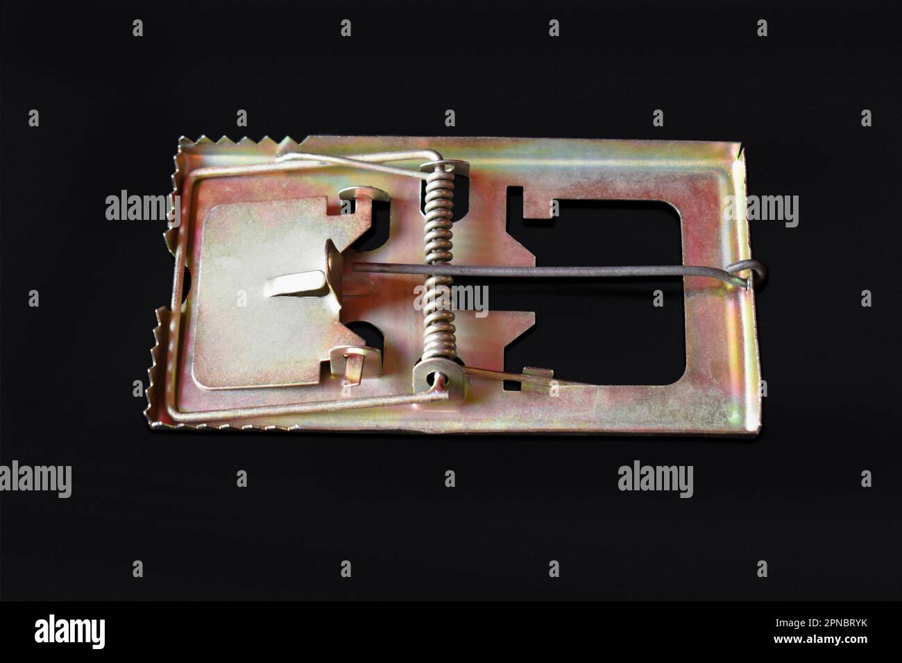 Image of a mouse trap for home, Pune, Maharashtra, India Stock Photo ...