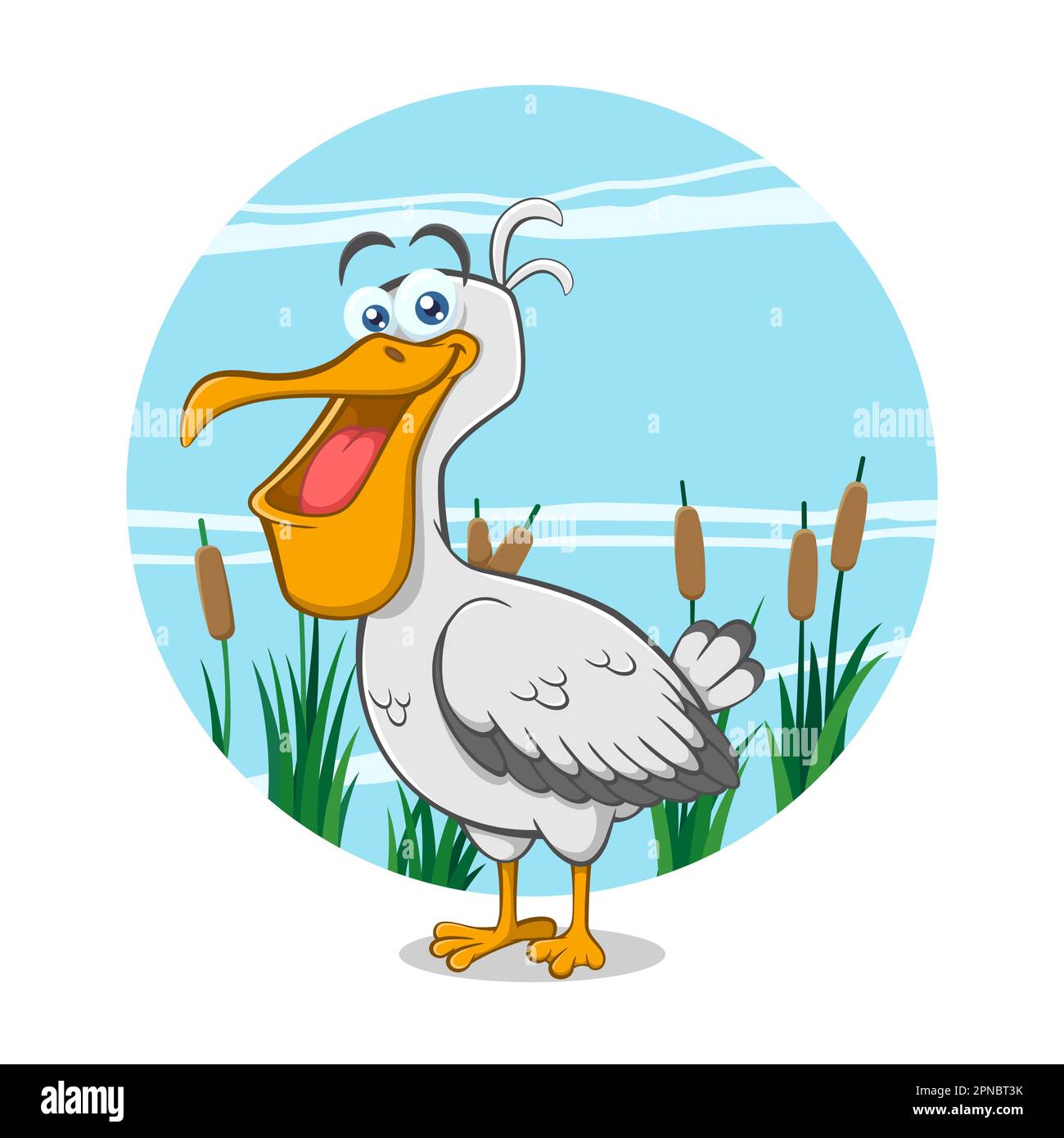 Cartoon Pelicans Bird With Background Stock Vector Image & Art - Alamy